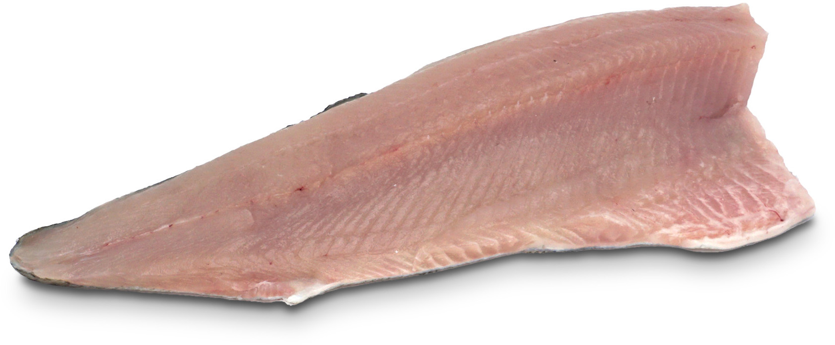 Mariazeller Alpenfisch BIO Bachforellen Filet, mit Haut