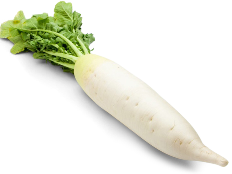 Rettich Weiß